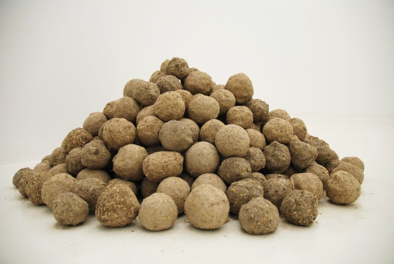 YAN Bing – REFLEXION